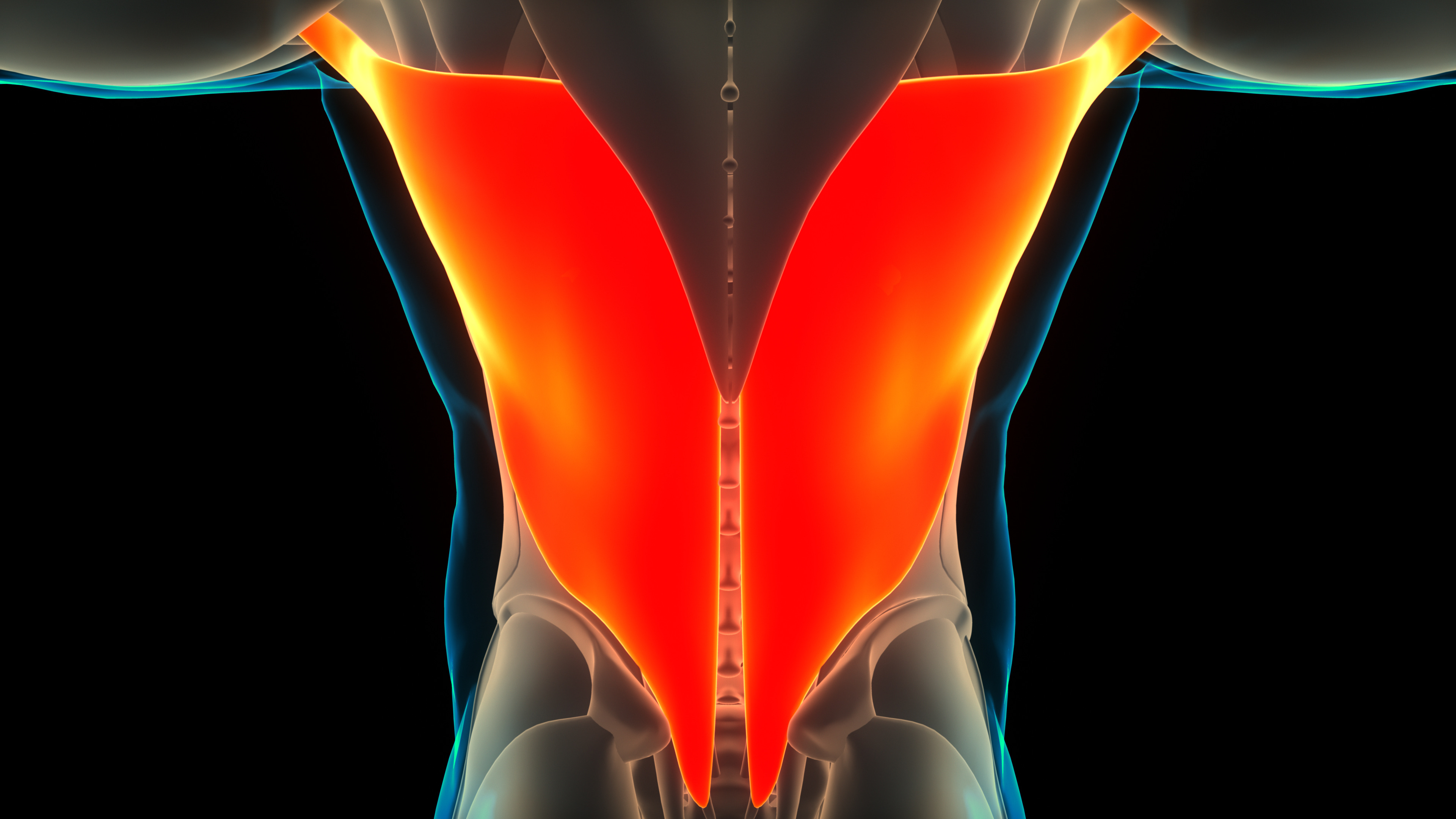Latissimus Dorsi Pain: Everything You Need to Know